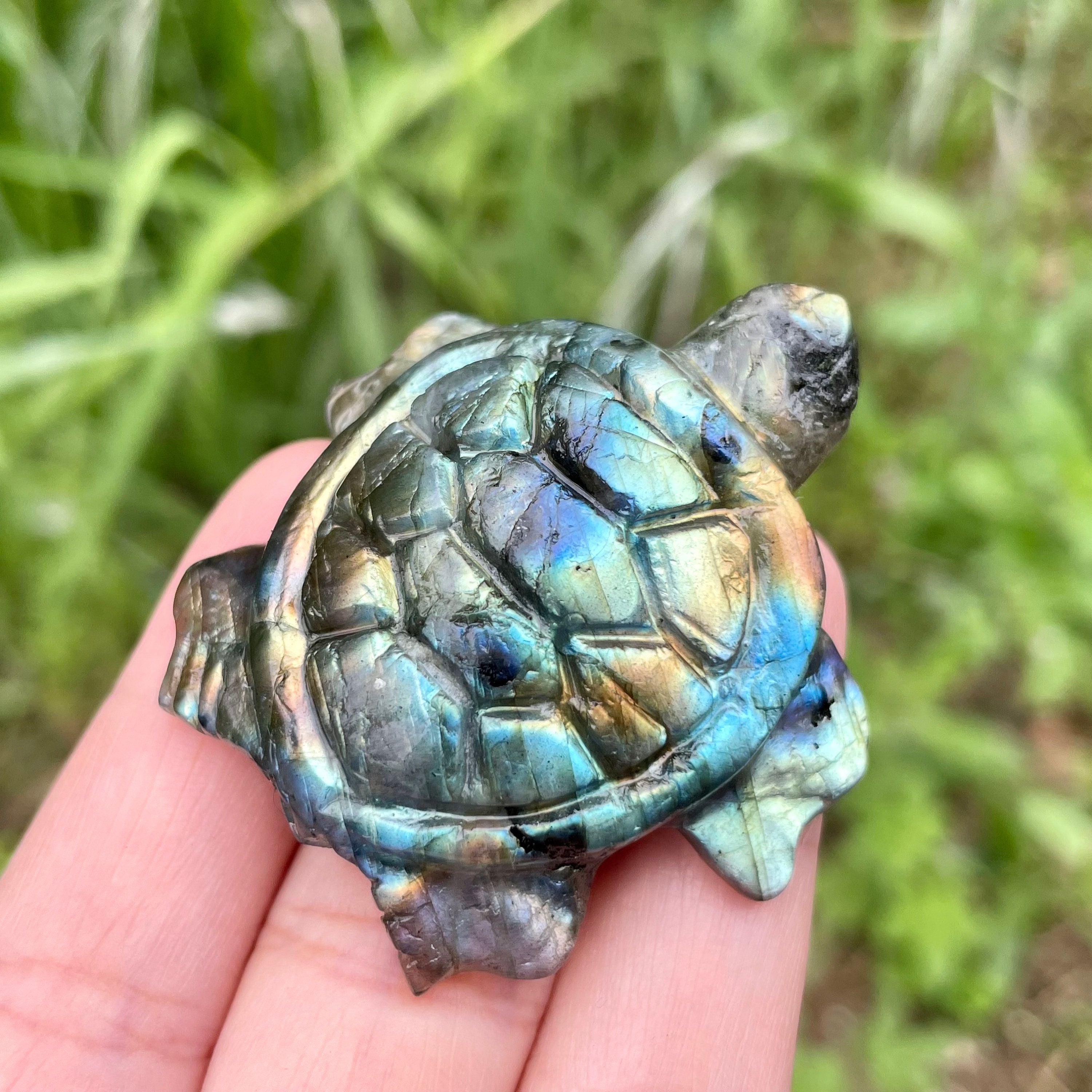 Natural Labradorite Turtlequartz Crystal Turtlehand - Etsy