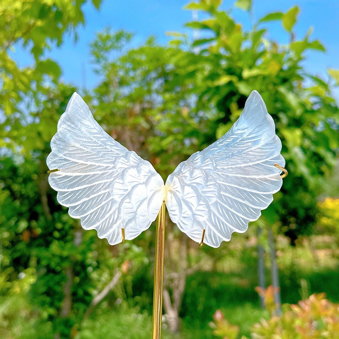Satin Spar Selenite A Pair of Wings + Golden Stents,angel Wing,hand ...