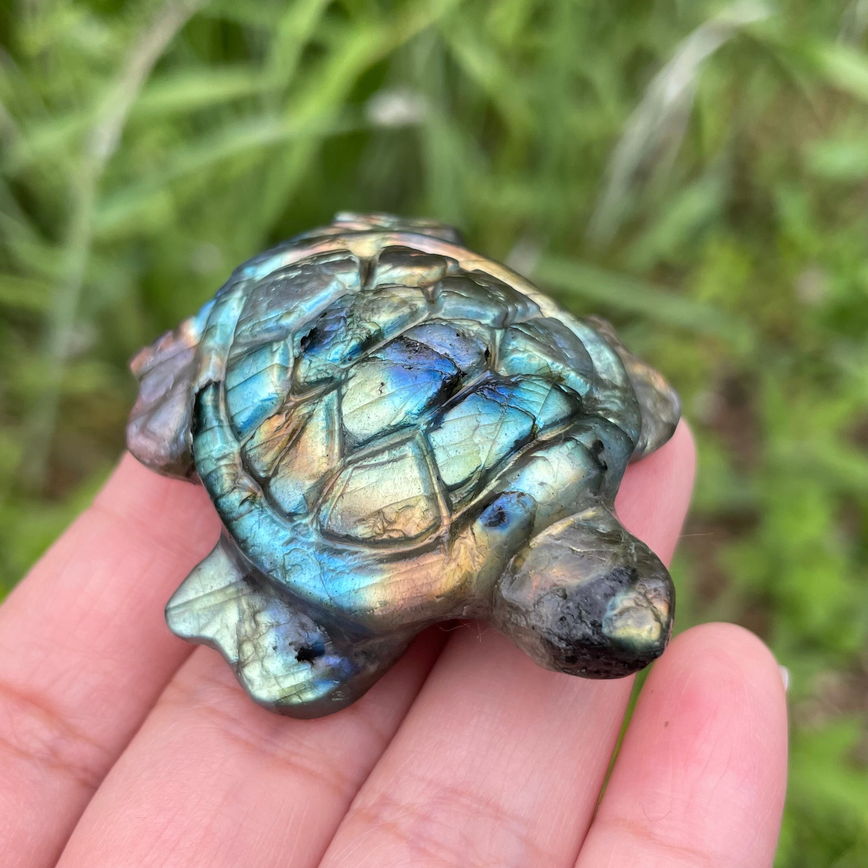 Natural Labradorite Turtlequartz Crystal Turtlehand - Etsy