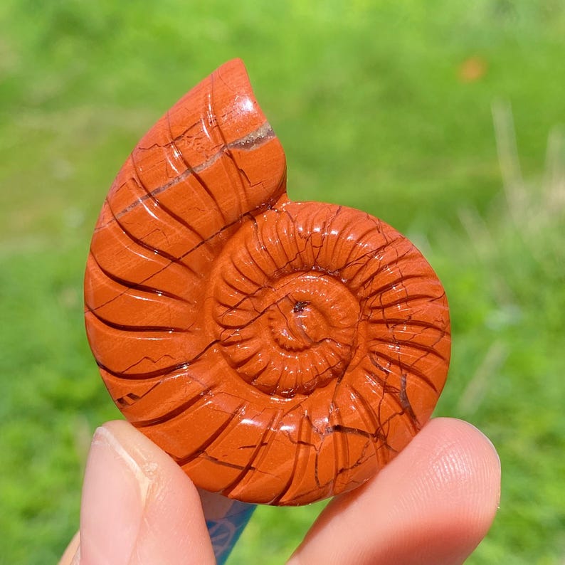 Natural Quartz Crystal Snail,crystal Spiral Shell/whorl,crystal Artware ...
