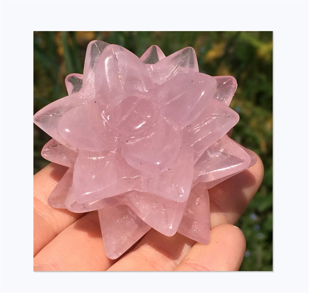 1PC Natural Rose Quartz Succulents,quartz Crystal Flower,home ...