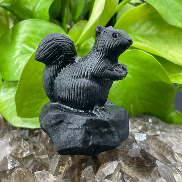 Carved Squirrel - Etsy