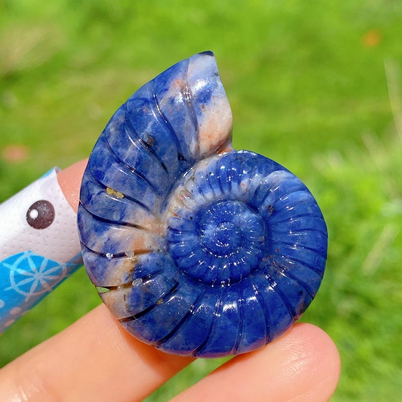 Natural Quartz Crystal Snail,crystal Spiral Shell/whorl,crystal Artware ...