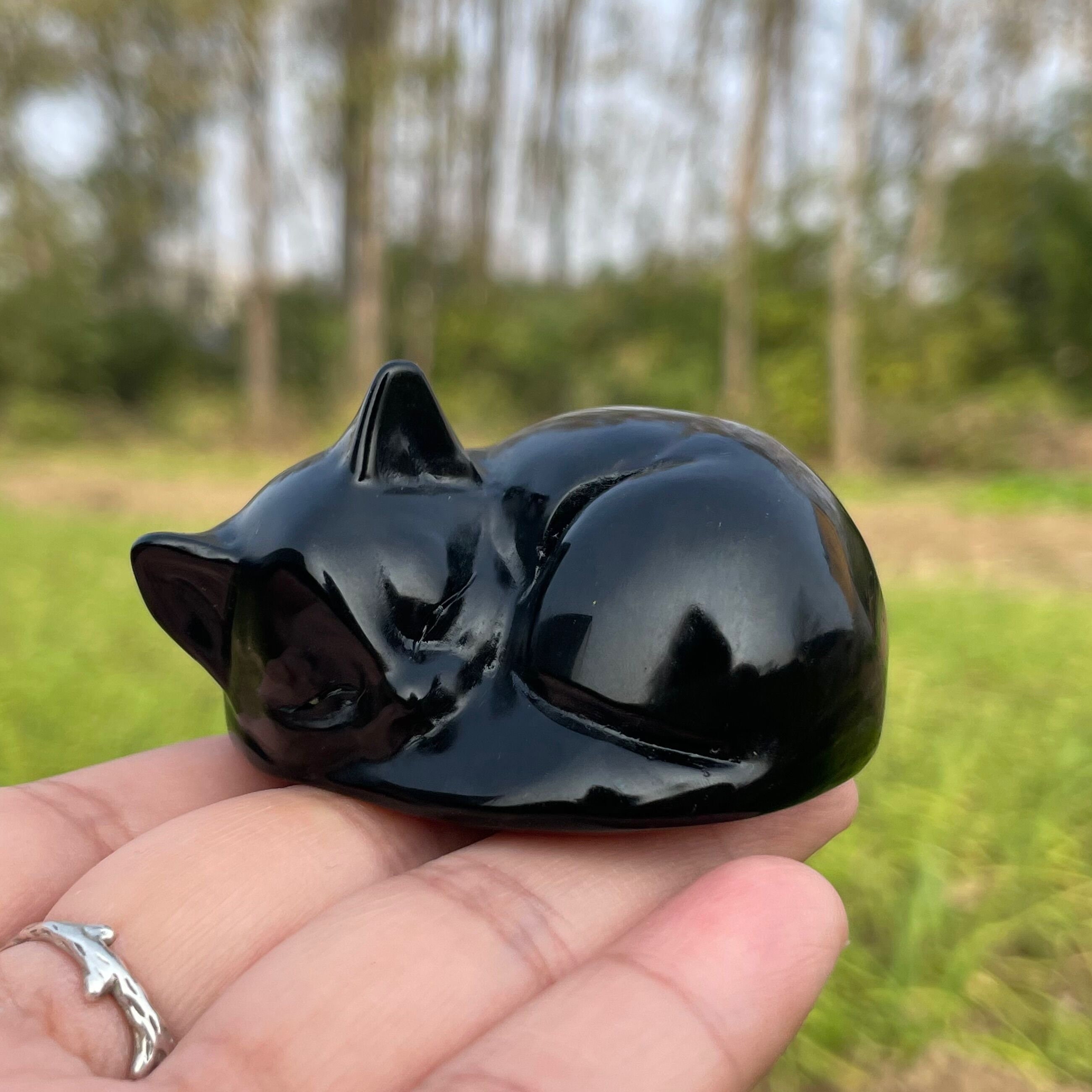 Natural Obsidian Cat,crystal Carving Cat,hand Carved,home Decoration ...