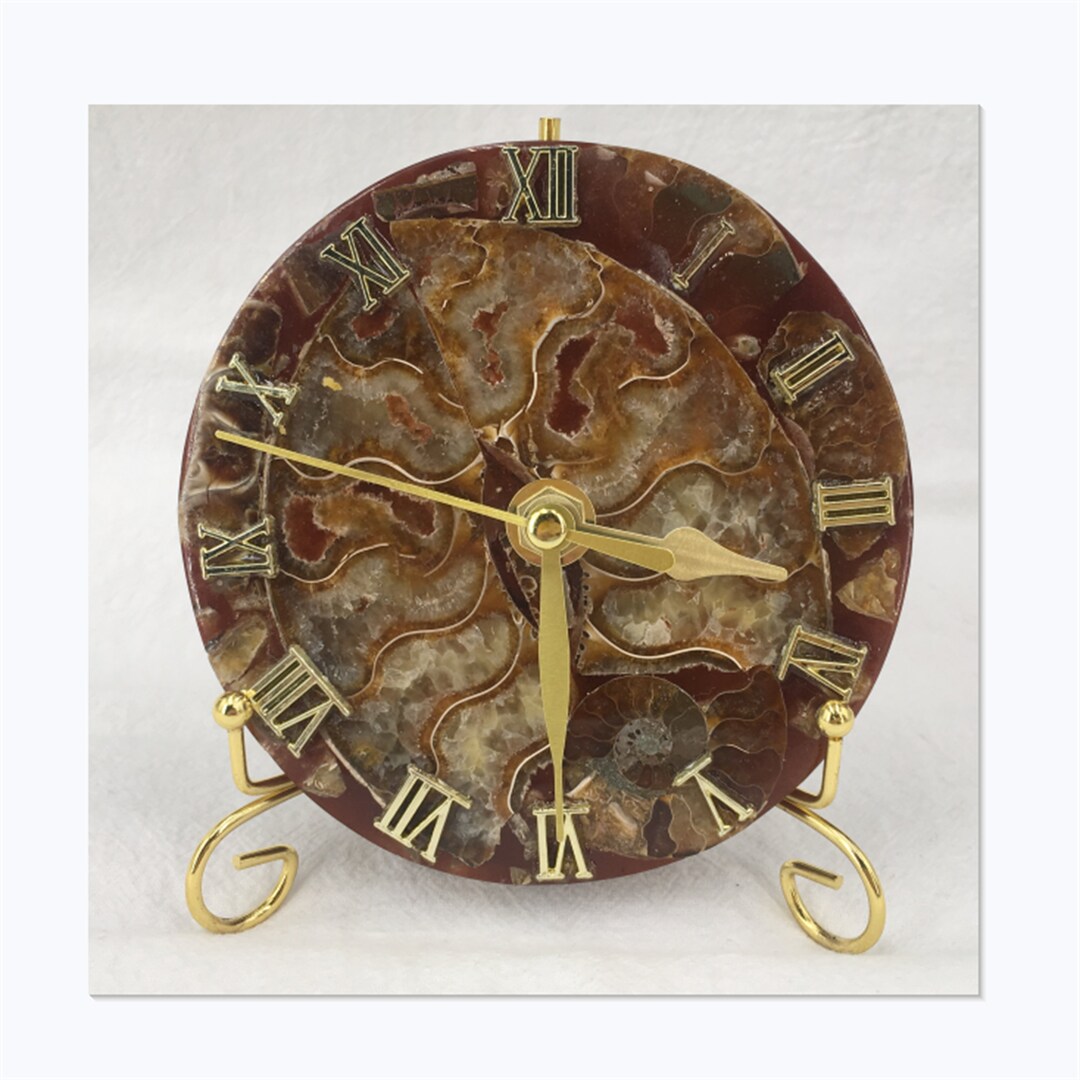1pc Natural Rare Ammonite Fossil Conch Clock,quartz Crystal Fossil,home ...