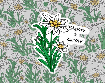Edelweiss Sticker | Etsy
