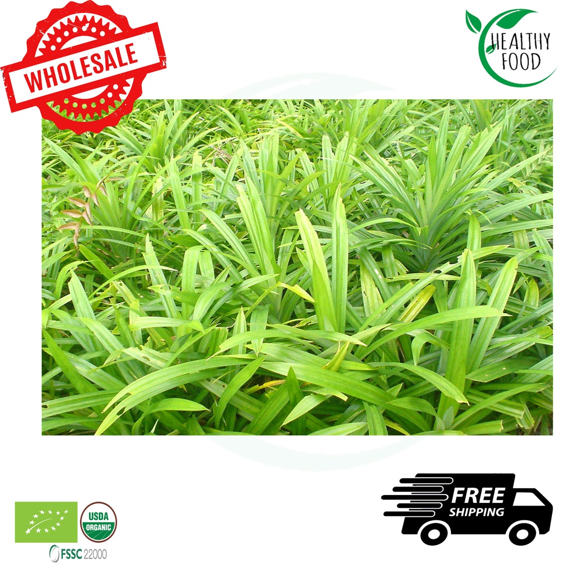 Dehydrated Pandan Leaves/leaf Ground Powder Organic Pure Natural ...