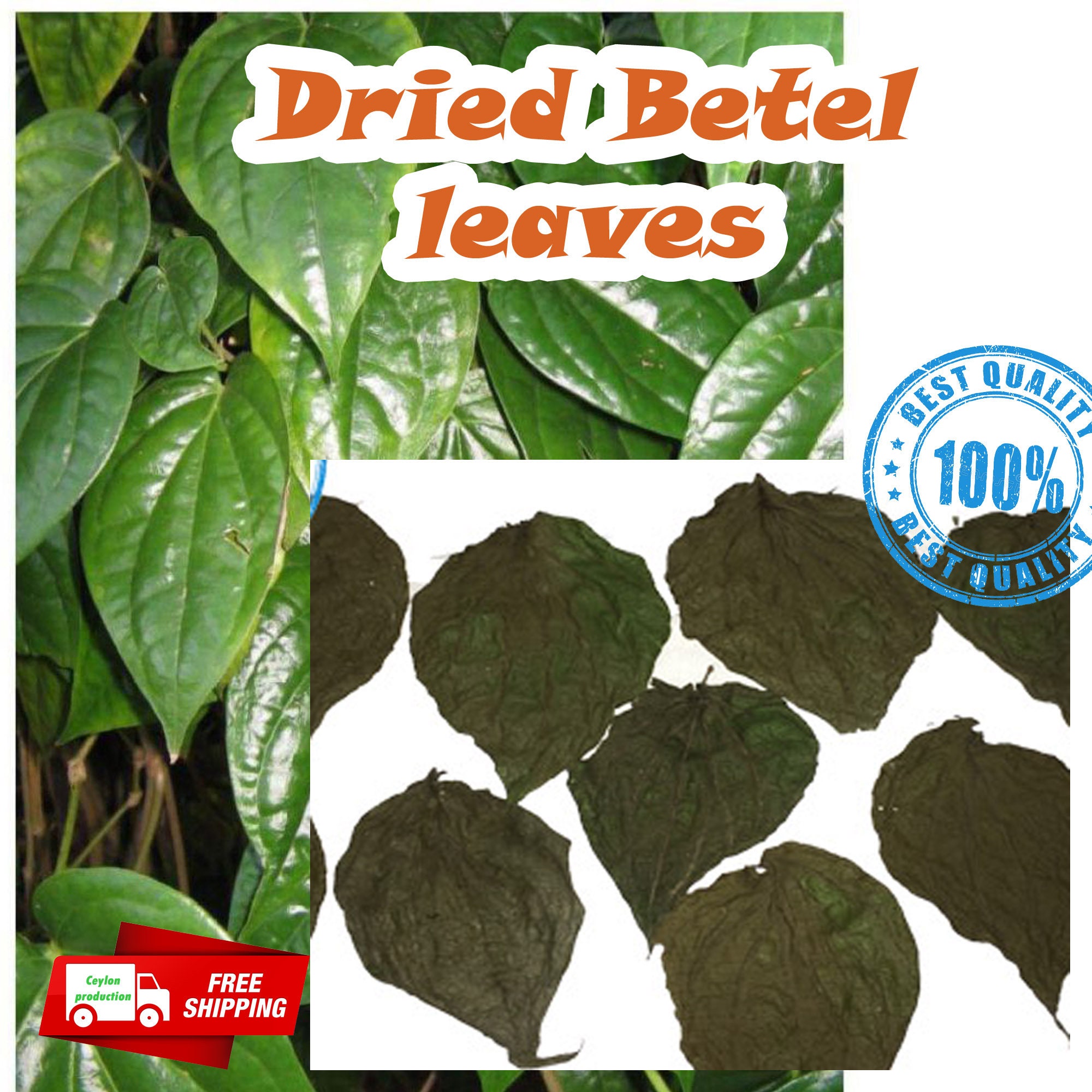 Organic Sri Lankan Dried Herbal Betel Leaf Leaves (paan, Lá Trầu)pure ...