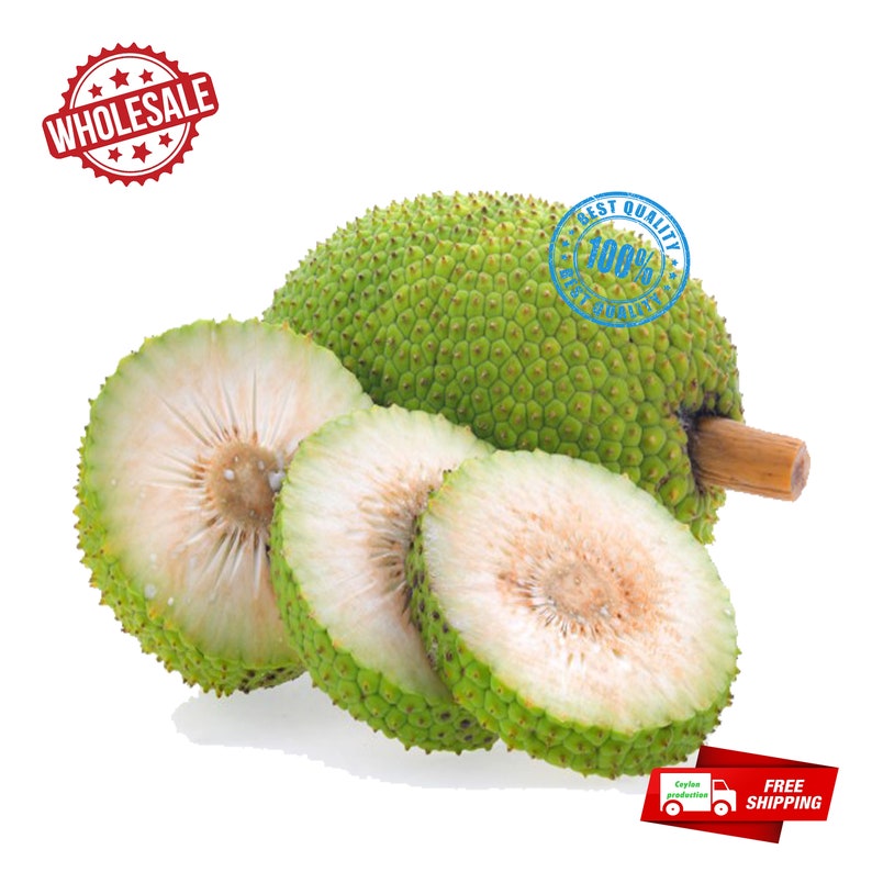 Dried Breadfruit Slices/2-3cm Cut From Ceylon Premium Quality A Organic Dehydrated - Etsy UK