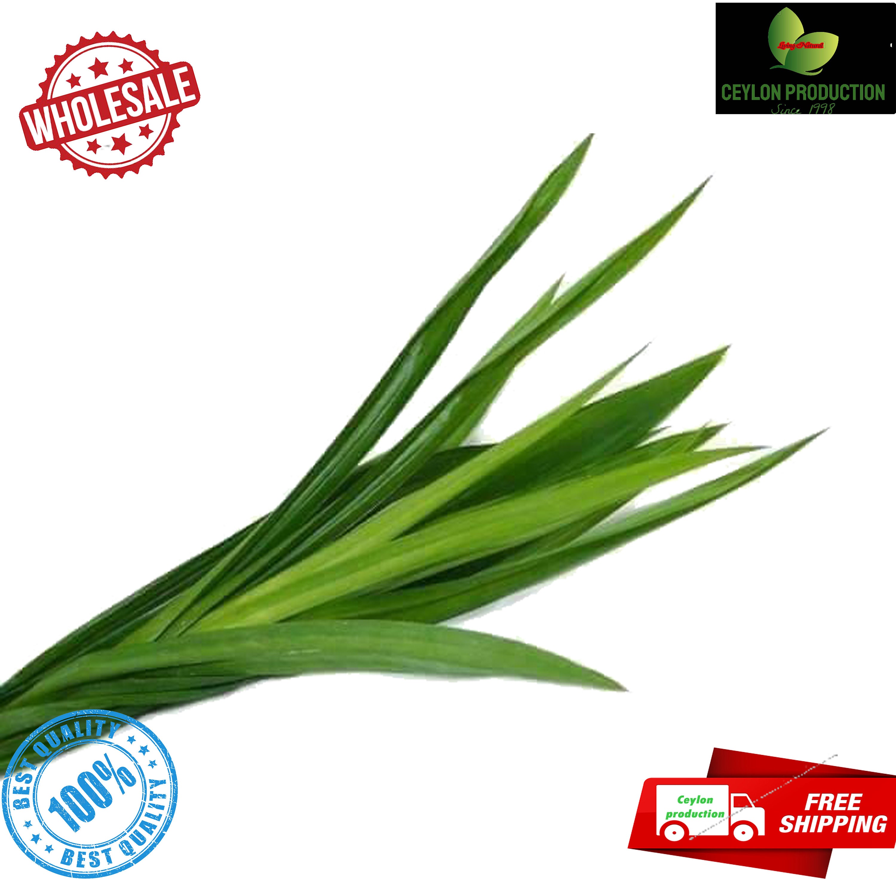 Dried Organic Pandan Leaves Ground Powder(pandanus Amaryllifolius ...