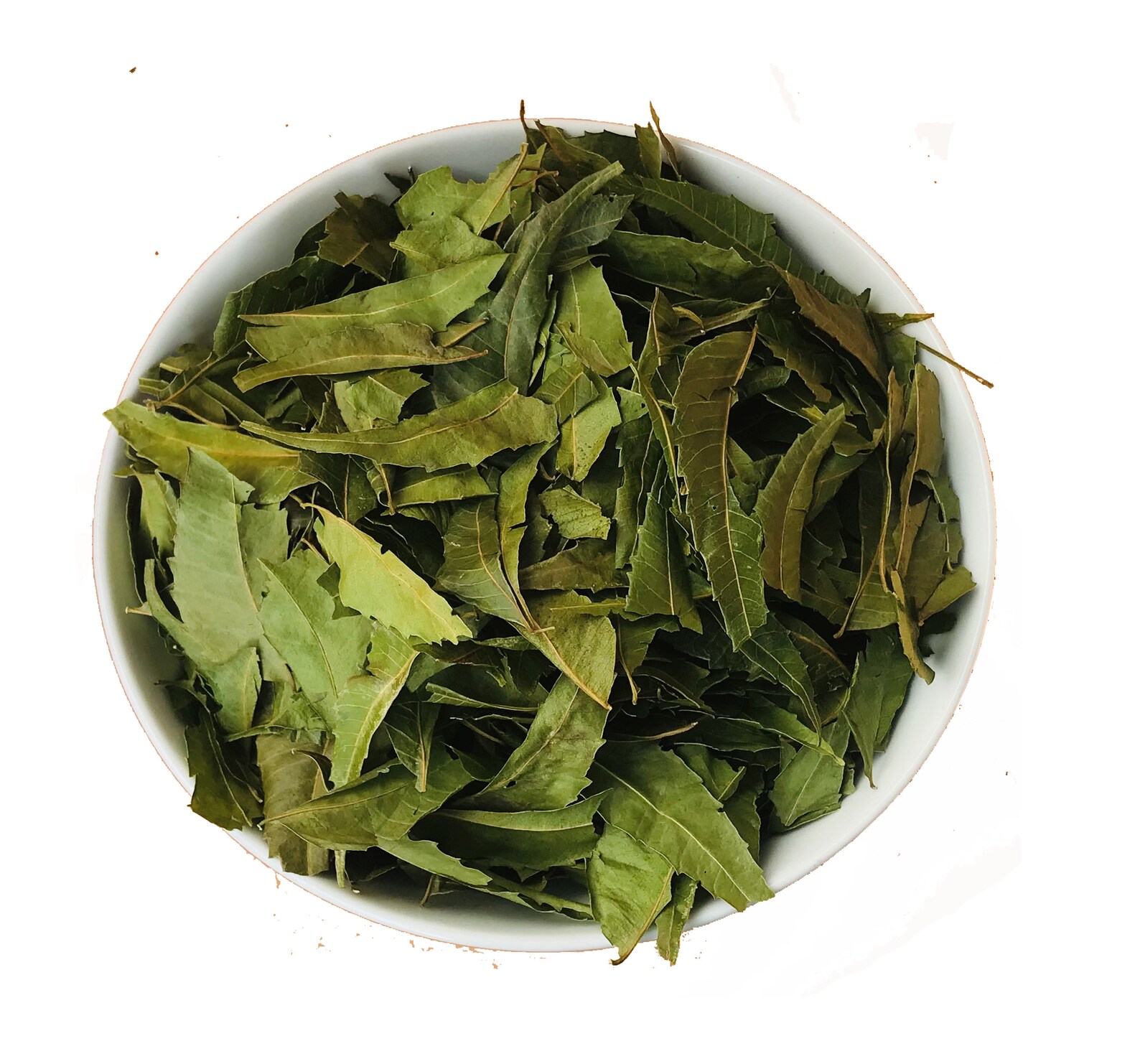 Dried Neem Whole Leaves Azadirachta Indica Organic Herbal Premium ...