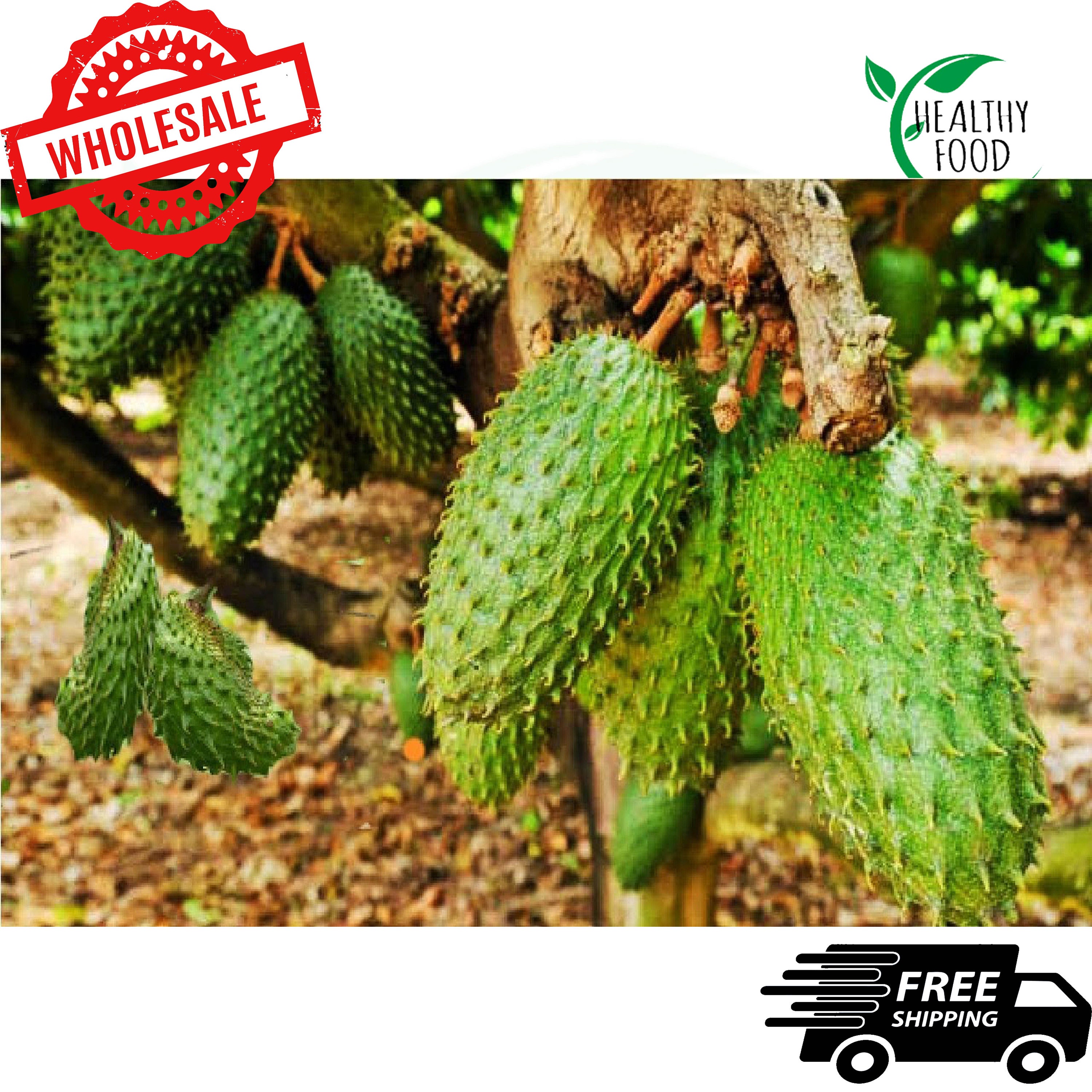 Graviola Soursop Fruit Capsules(600mg)/graviola/ Guanabana / Annona Muricata Fruit Ground Powder ...