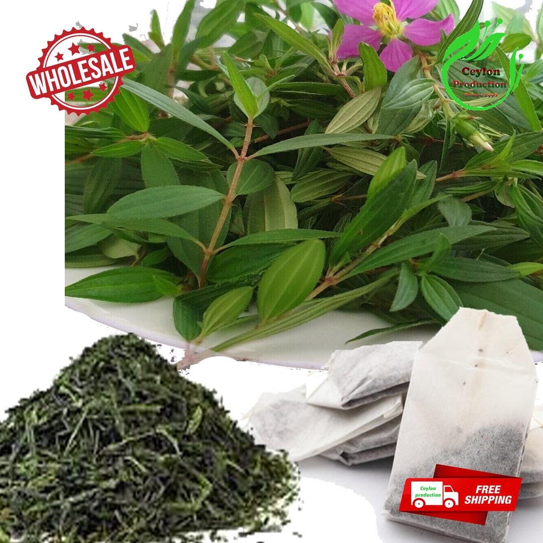 Liver Plant Leaves Herbal Tea Bags/osbeckia Octandra/heen Bovitiya ...