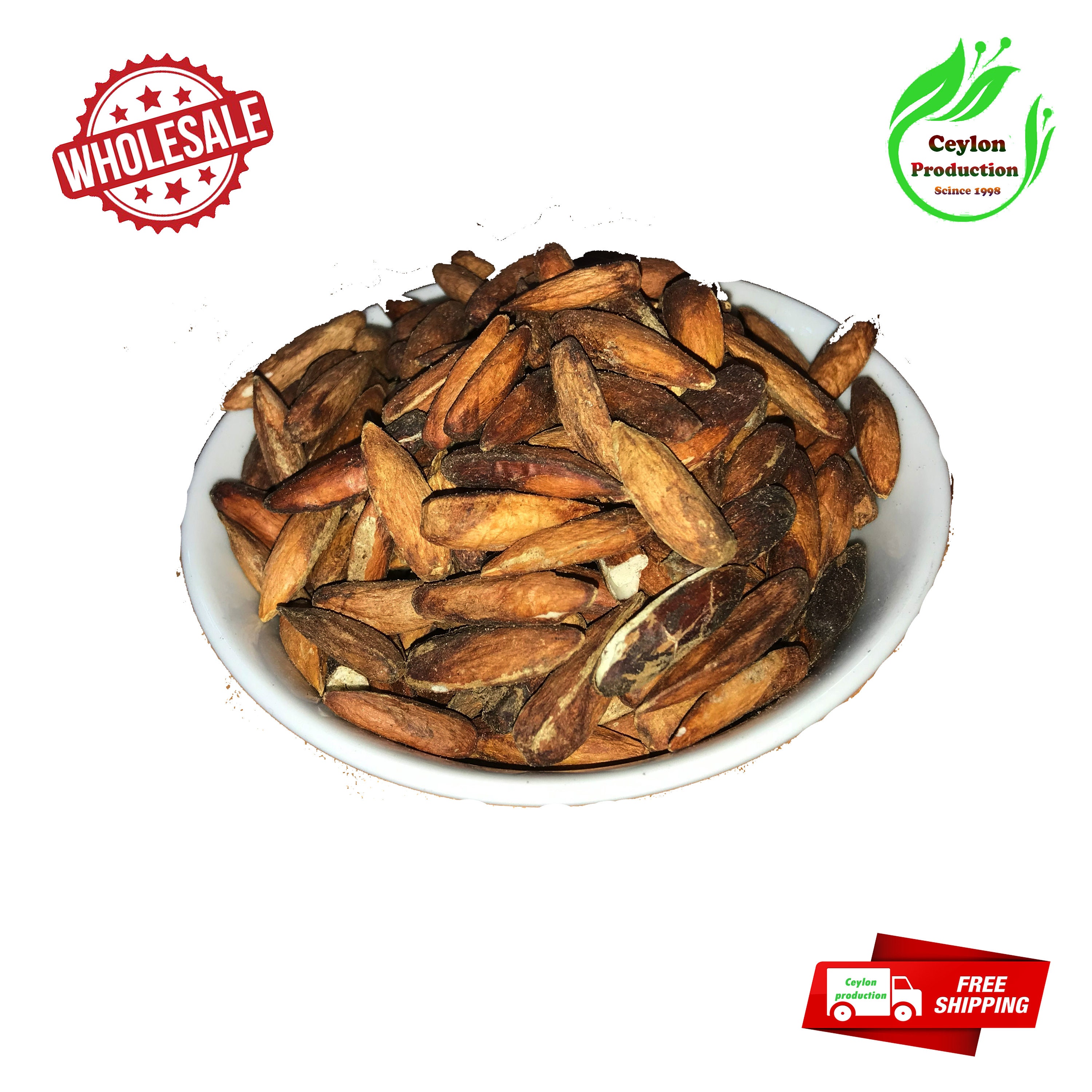 Terminalia Catappa Viable Fruit Seeds Nut Indian Almond Pure Organic ...