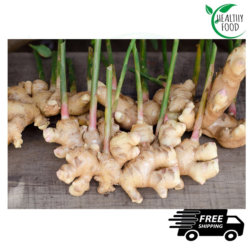 Dried Ginger Root Ground Powder Spices Organic Pure Natural - Etsy