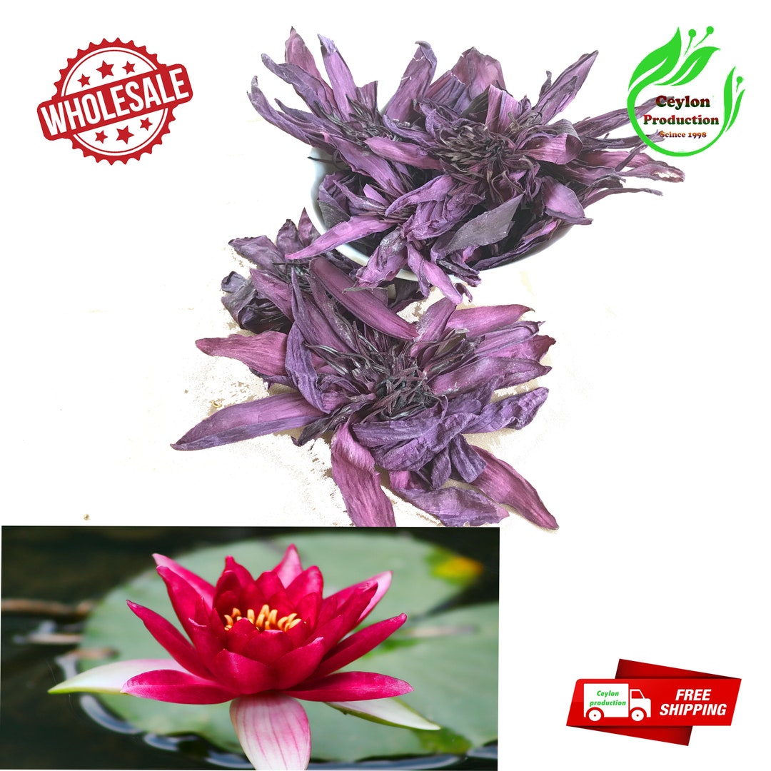 Organic Dried Red Lotus Flower (nymphaea Caerulea) / Egyptian Blue ...