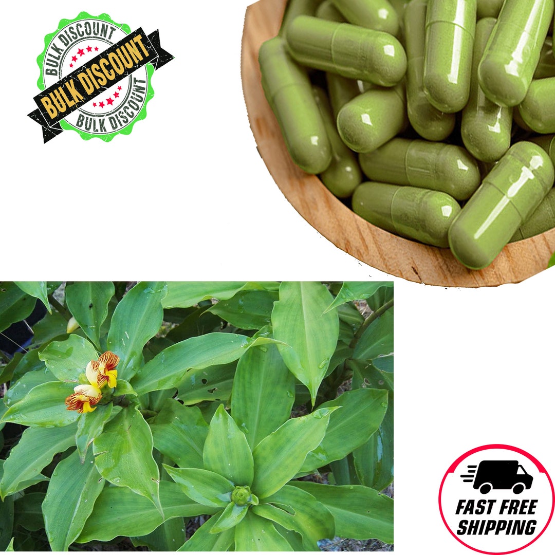 Organic Insulin Plant Leaf Leaves Capsules600mg fiery Costus/help ...
