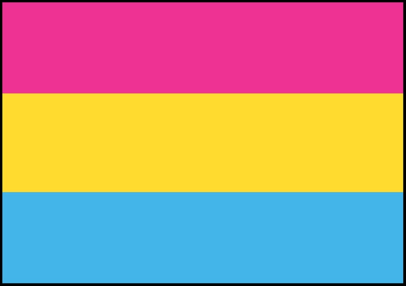 Pansexual Pride Flag - Premium Matte Paper Poster - Etsy