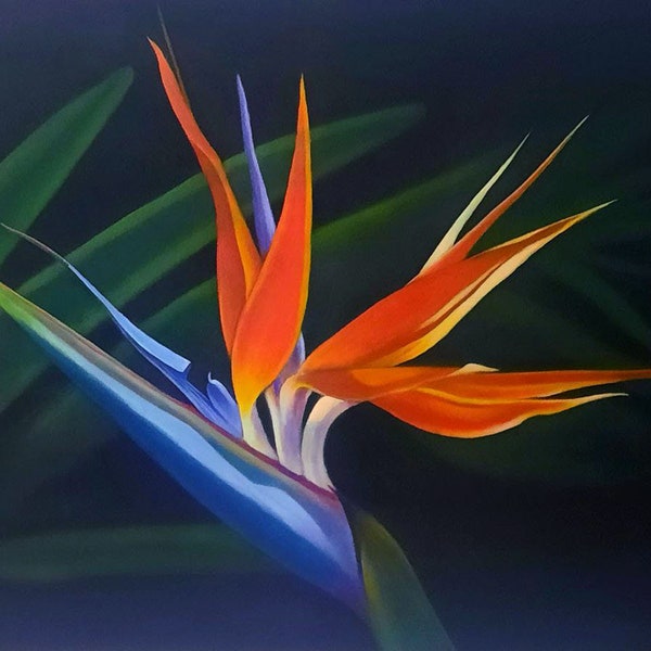 Strelitzia Art - Etsy