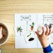 Plant/not a Plant Sorting Activity Printable - Etsy