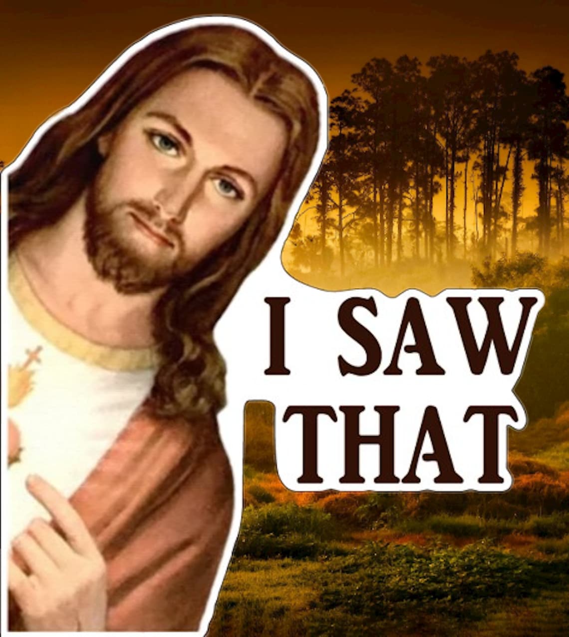 Jesus I Saw That /buddy Christ Meme Art Vinyl Sticker /printed Decal ...