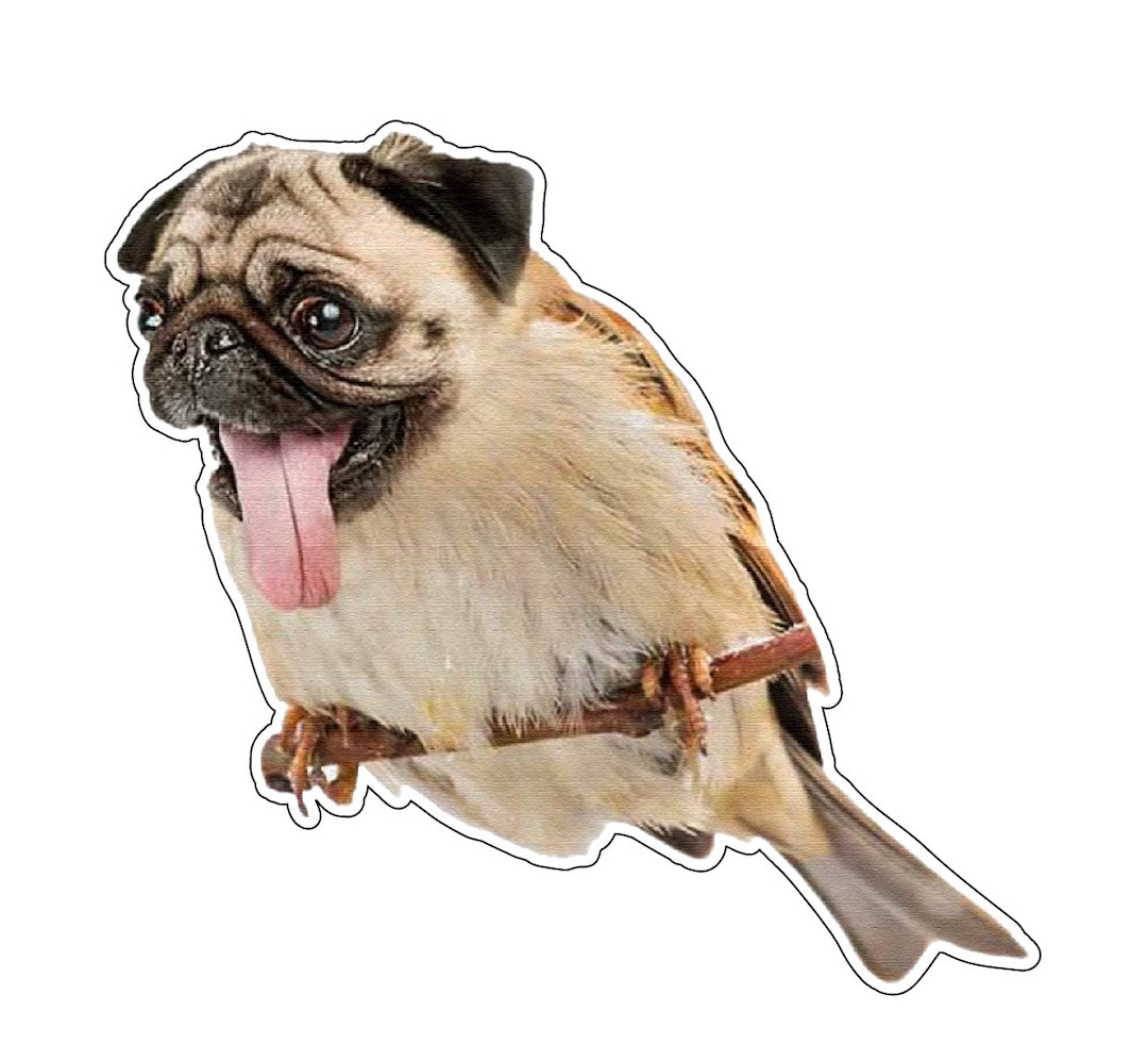 Pug Sparrow Dog Bird Funny Pets Odd Animals Vinyl Stickers Printed ...