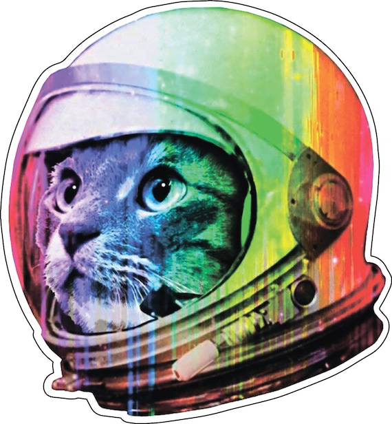 Astronaut Cat Alien UFO Extraterrestrial Space Psychedelic - Etsy
