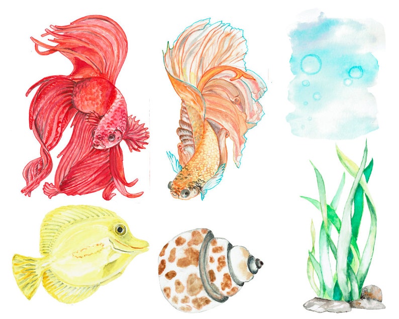 Watercolor Happy Fishes Clipart | Colorful Sea Life PNG | Exotic ...