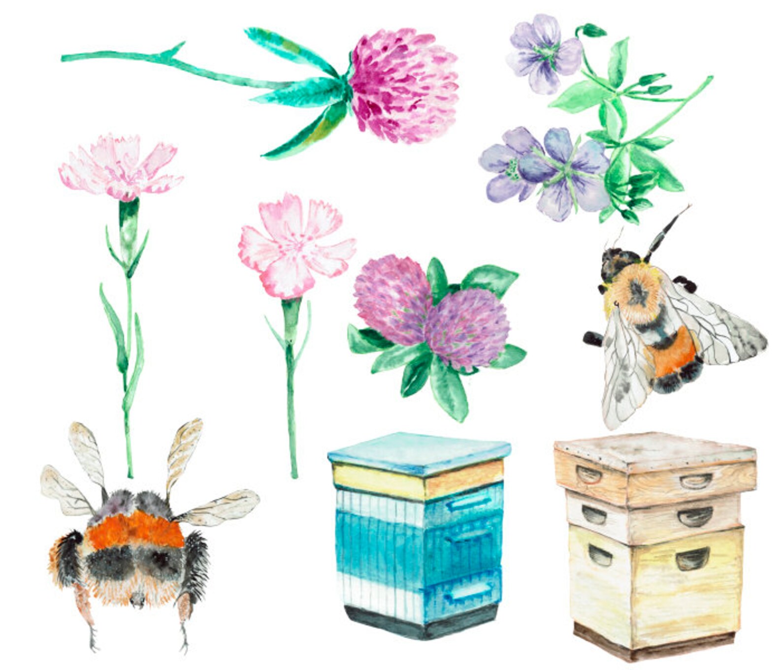 Bee Garden Watercolor Clipart Png - Digital Download - Honey Bee and ...