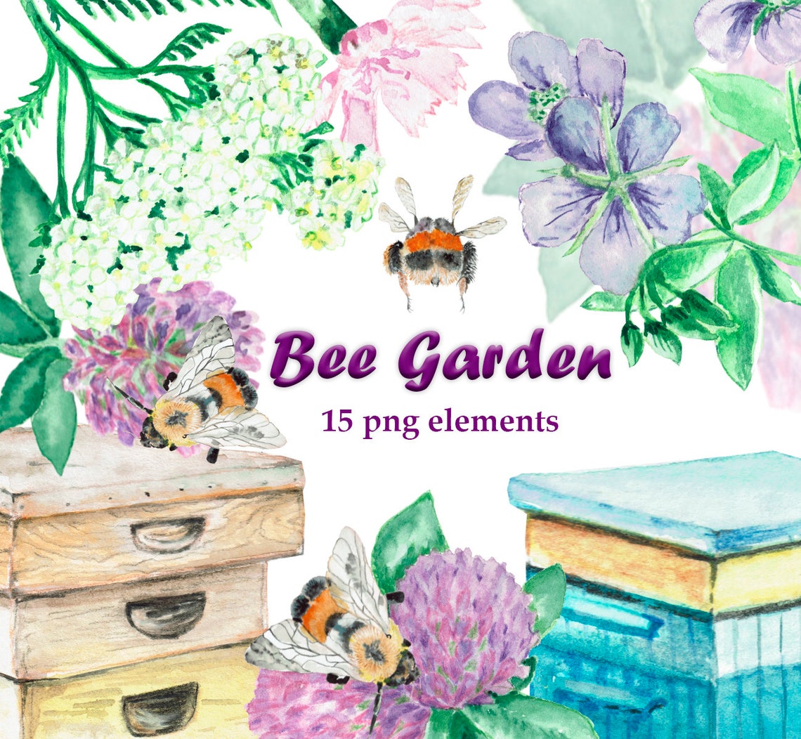 Bee Garden Watercolor Clipart Png Digital Download Honey Bee and ...