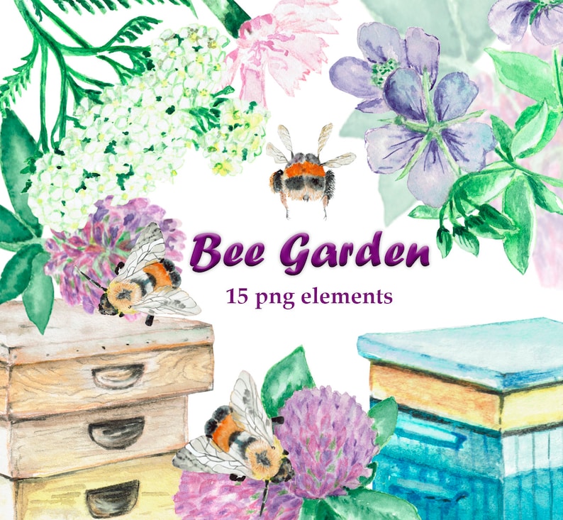 Bee Garden Watercolor Clipart Png - Digital Download - Honey Bee and ...