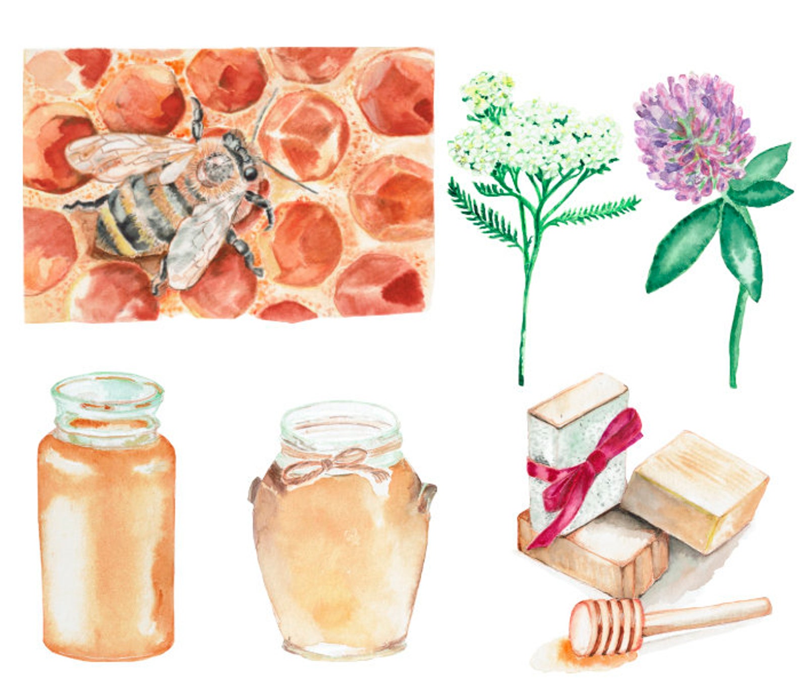 Bee Garden Watercolor Clipart Png - Digital Download - Honey Bee and ...