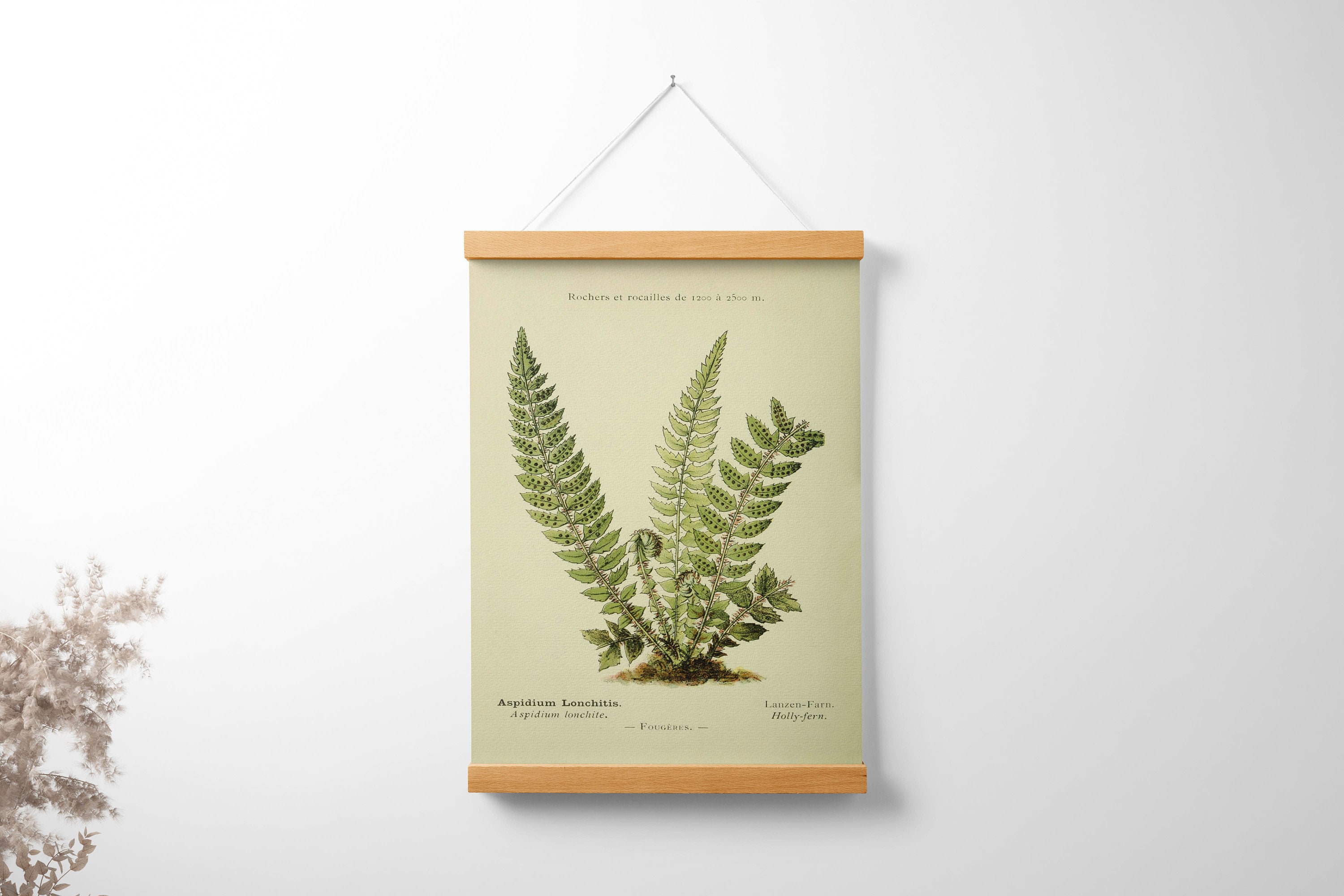 Fern Canvas Print With Hanger Frames Ready to Hang Kitchen - Etsy