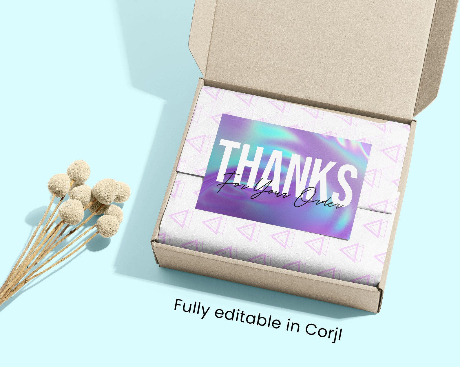 HOLOGRAM Branded Packaging Templates, Editable Branded Packaging ...