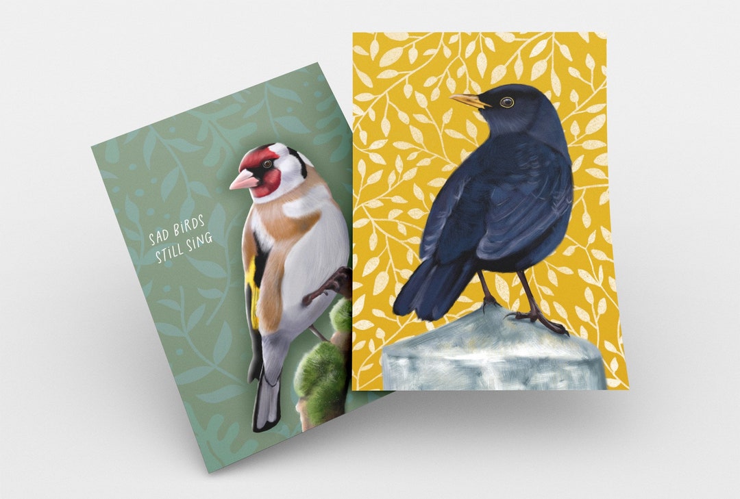 Goldfinch and Blackbird Set 350g Natural Cardboard Sad Birds Still Sing ...
