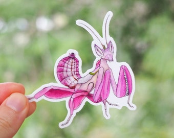 Orchid Mantis | Etsy