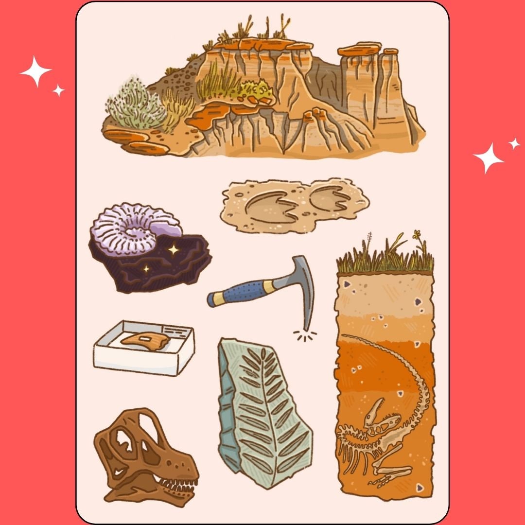 Fossil Sticker Sheet - Etsy