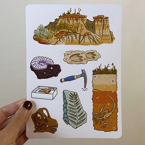 Fossil Sticker Sheet - Etsy