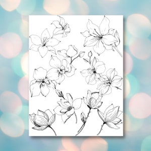 Flowers Coloring Book | 40 Pages | 4 Ten Page Books | Digital Download ...