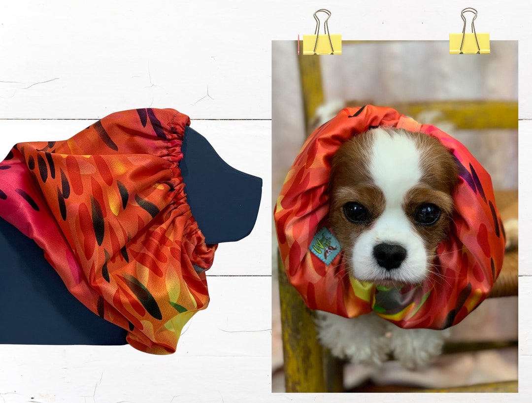 FANCY Adjustable Dog Snood in WARM COLOR Peacock Protect Long Ears ...