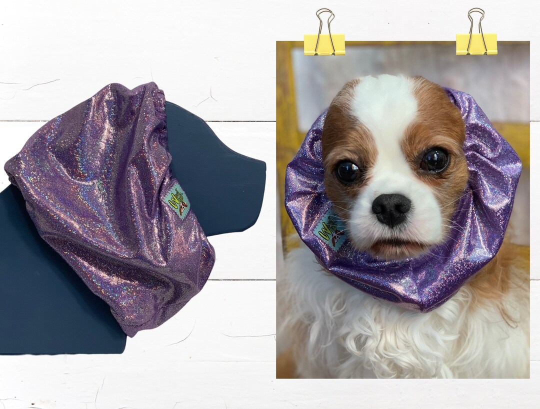 FANCY Adjustable Dog Snood in METALLIC PURPLE - Protect Long Ears While ...