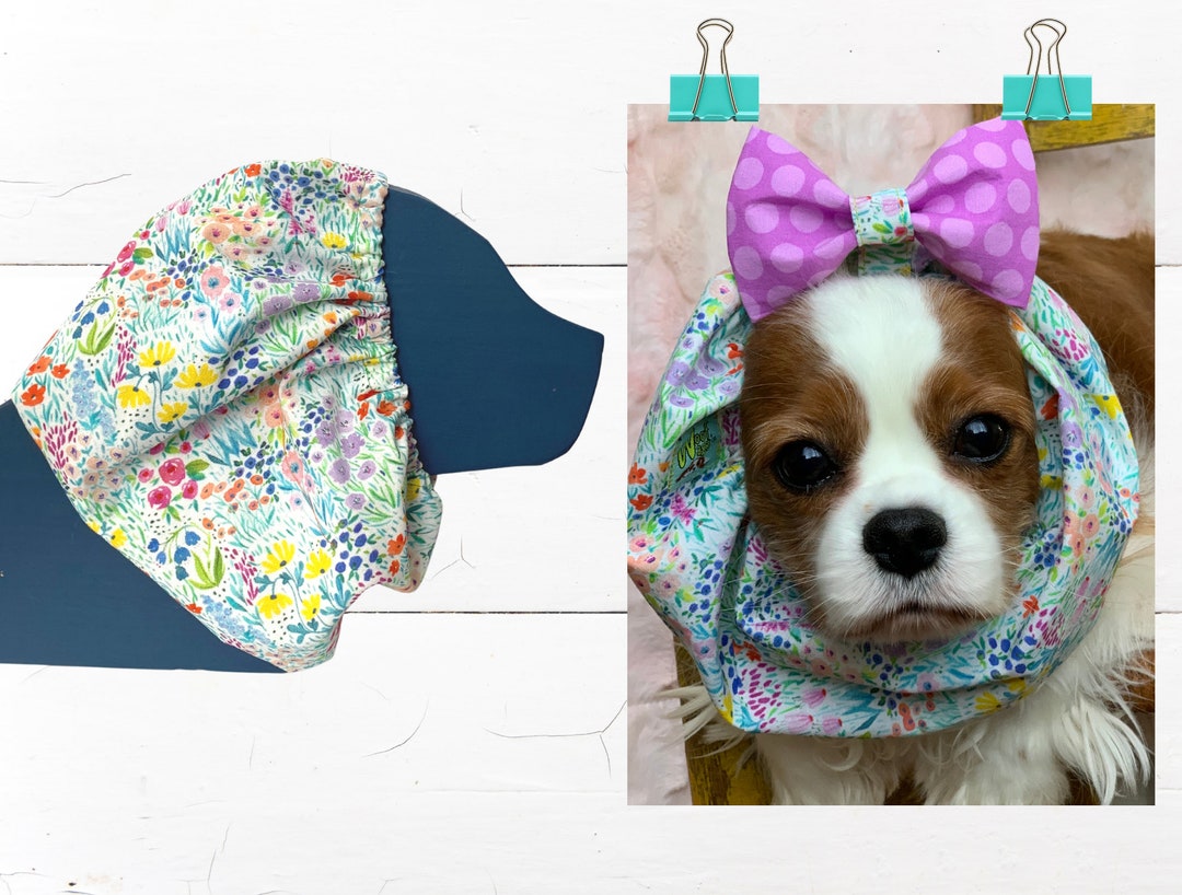 MINI FLOWER SPRING Adjustable Dog Snood: Protect Ears While Eating ...