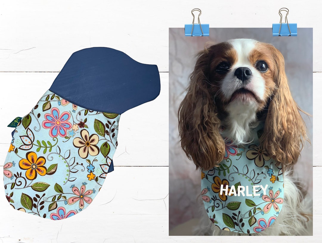 Reversible Dog Bib Slips on Collar- LIGHT BLUE FLOWER Bib: Dog Drool ...