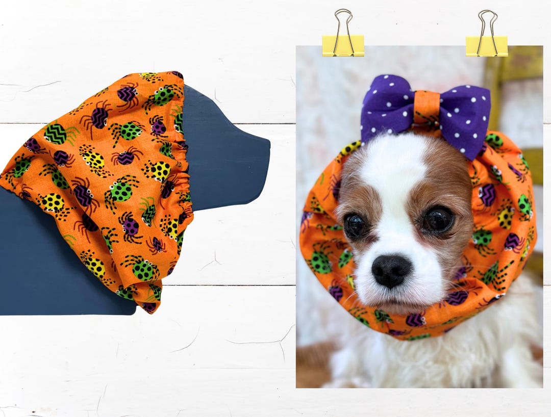MINI SPIDERS Adjustable Dog Snood for Halloween Dog Costume: Protect ...