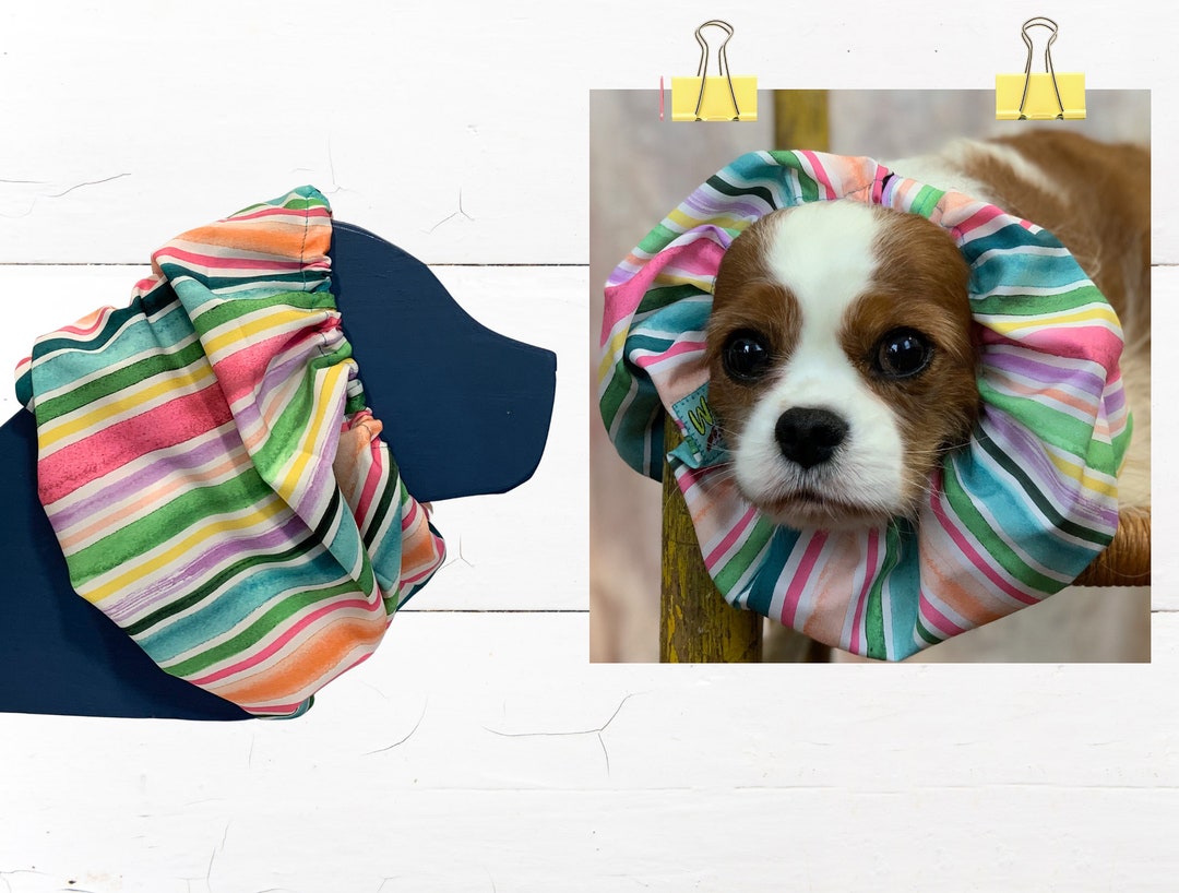 FANCY Adjustable Dog Snood in RAINBOW STRIPE - Protect Long Ears While ...