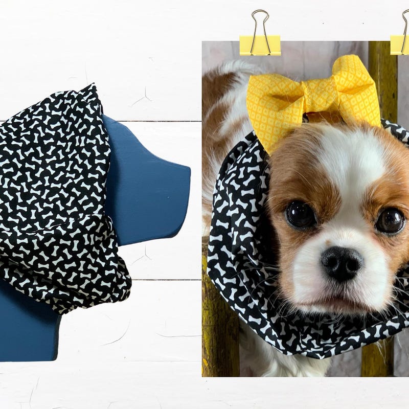 Cavalier Dog Snood - Etsy