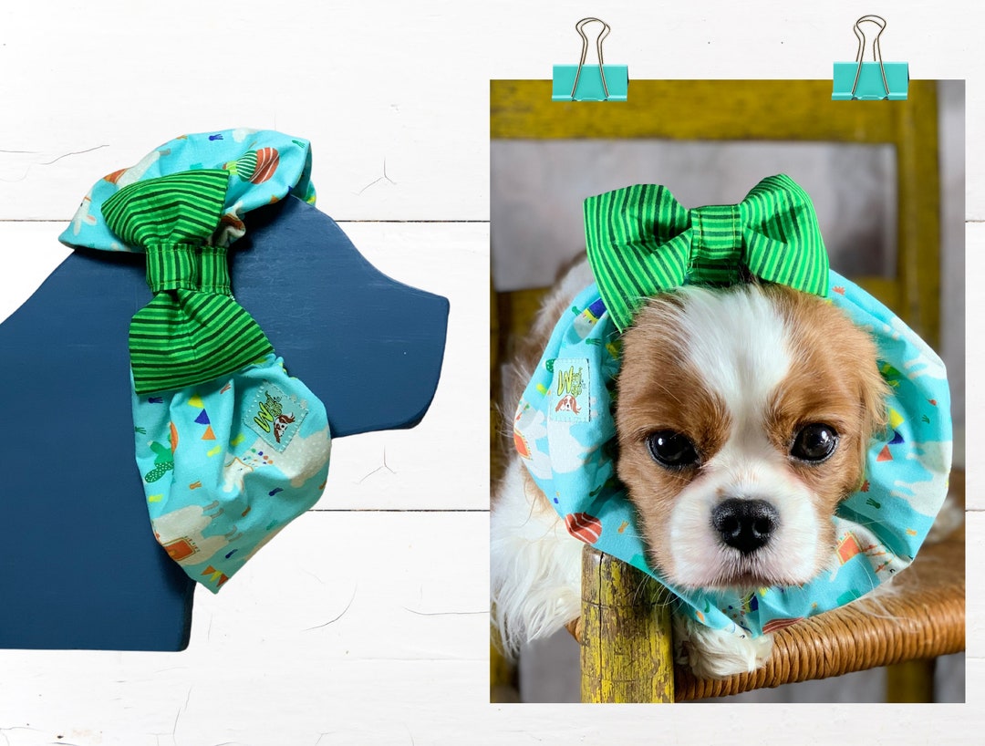 Adjustable Dog Snood: LLAMA CACTUS PARTY Snood Protects Ears While ...