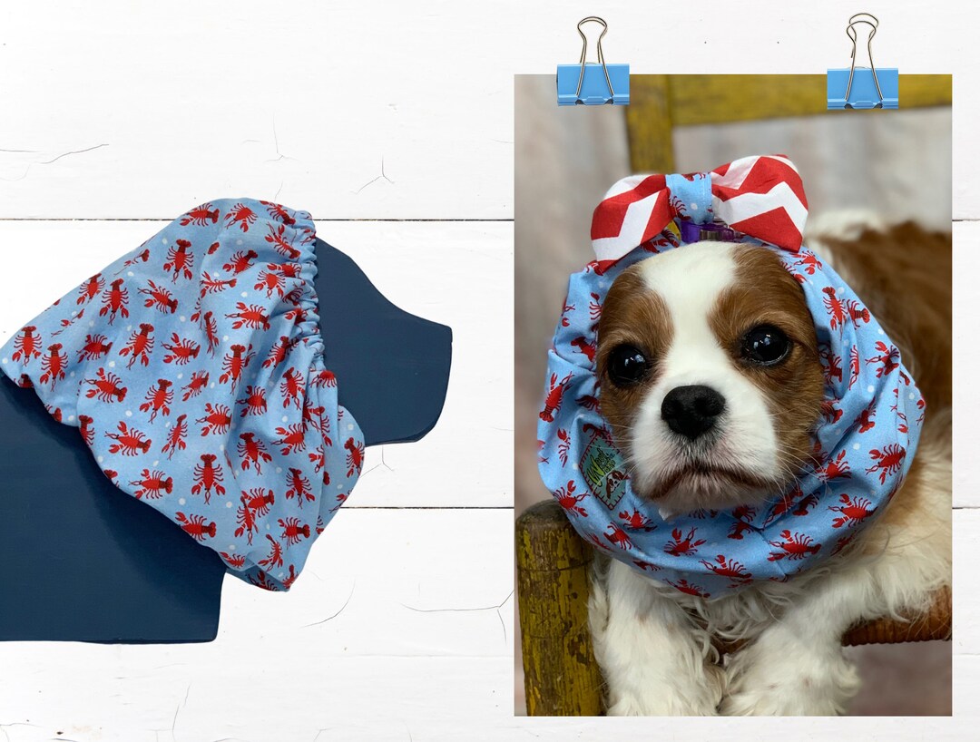 Adjustable Dog Snood: SUMMER LOBSTER Beach or Nautical Snood Protects ...