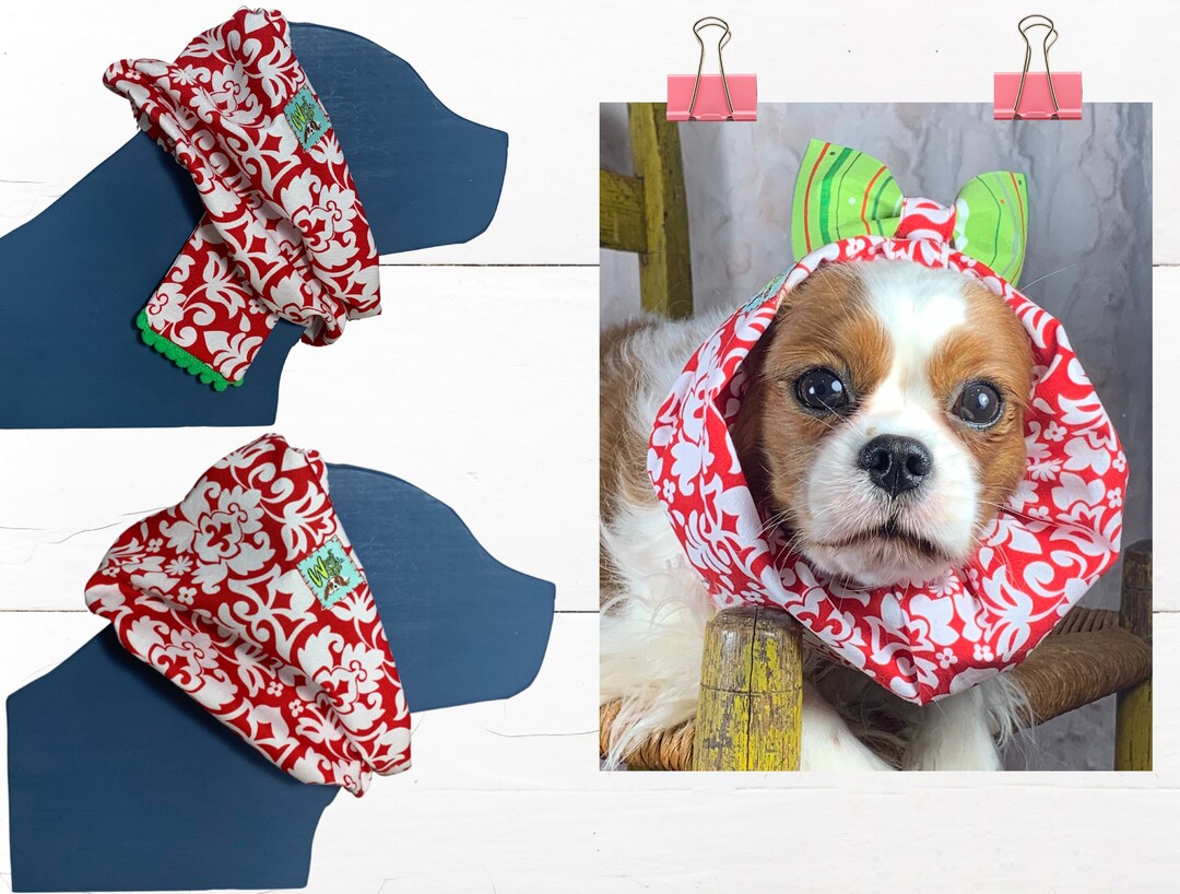 Adjustable Dog Snood RED FLOWER PAISLEY: Protect Long Ears While Eating ...