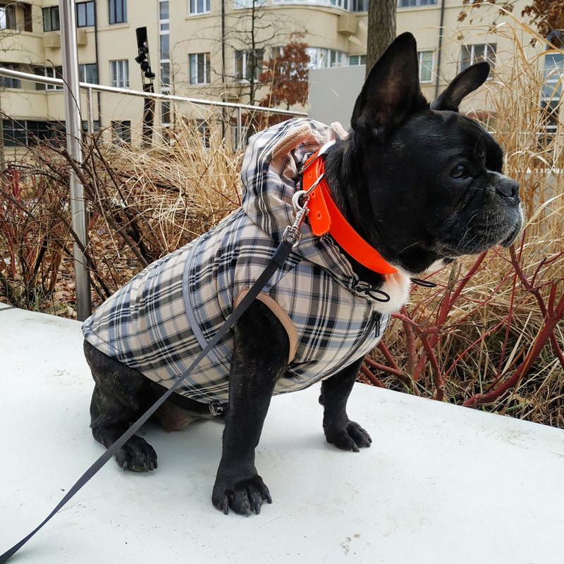 French Bulldog Clothes for Dogs - Etsy